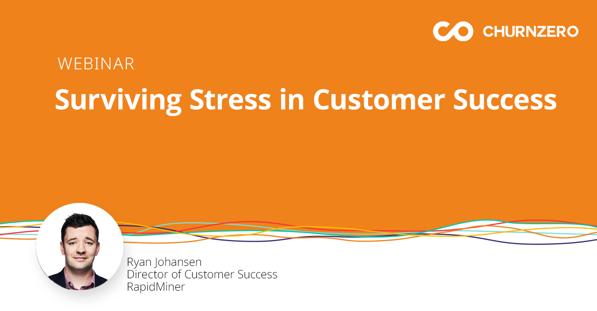 Surviving Stress in Customer Success